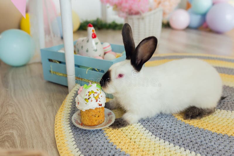 Easter - Cute Bunny Eat Easter Cake. Stock Image - Image of happy ...