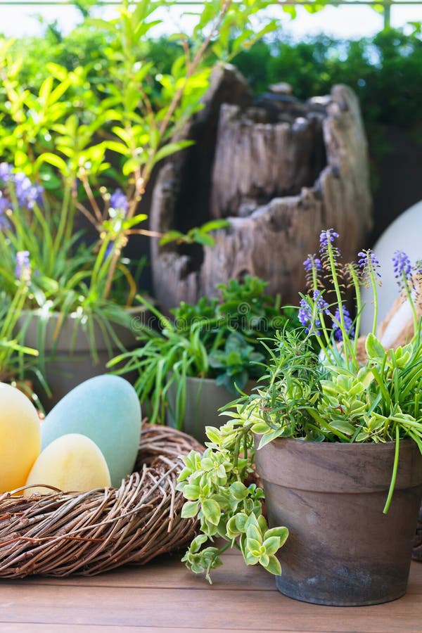 Easter Decor with Colorful Eggs and Spring Plants Stock Image - Image ...