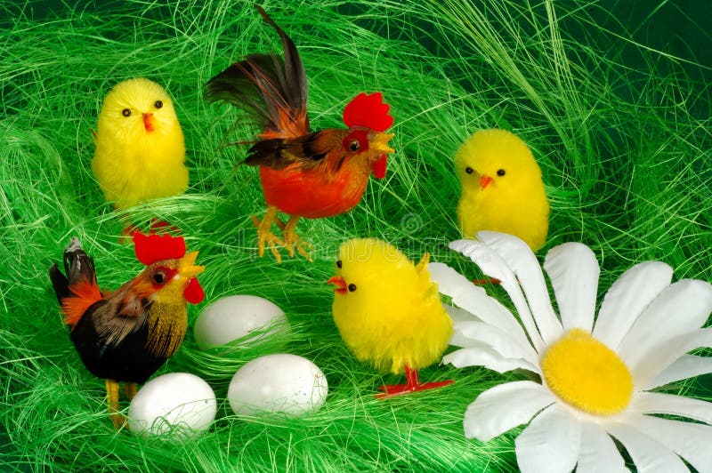 Little Easter chicks stock image. Image of easter, decorative - 8408387
