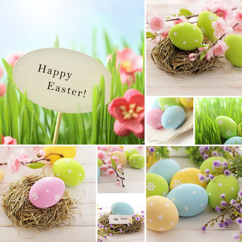 Easter collage stock photo. Image of spring, brown, hare - 38043712