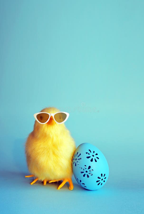An Easter Decoration with Cool Chicken. Easter Holiday Concept. Stock Photo - Image of ...