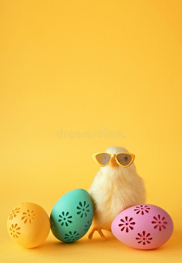 An Easter Decoration with Cool Chicken. Easter Holiday Concept. Stock ...