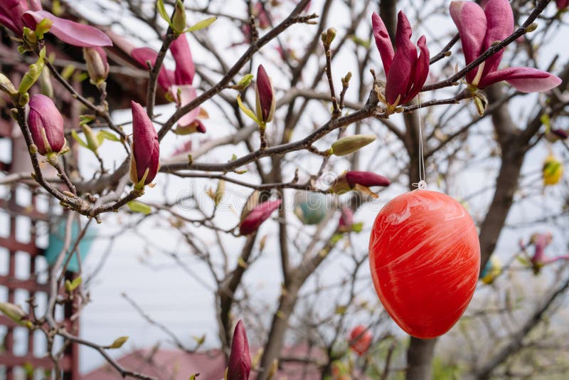 Decorative Easter Egg in Tree Stock Photo - Image of pink, tree: 276320954