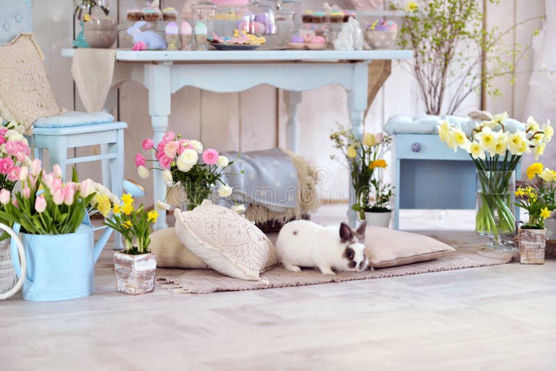 Easter Decoration in the Room Stock Photo - Image of daffodil, nest ...