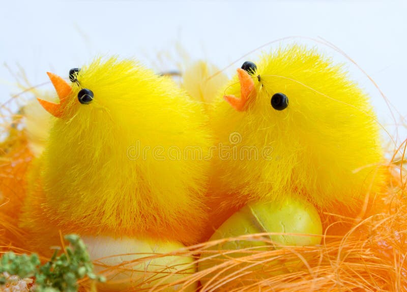 Easter Decorations - Chickens with Eggs Stock Photo - Image of religion ...