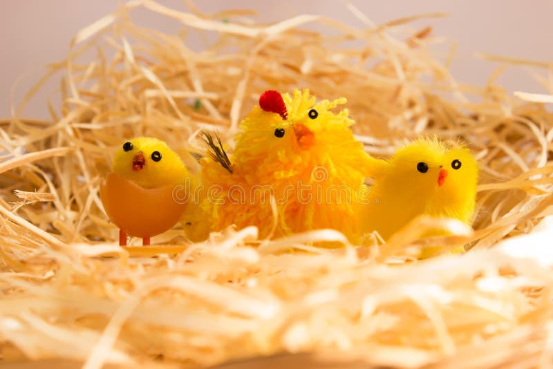 Easter Decorations - Chickens and Hen in Brood Stock Image - Image of ...
