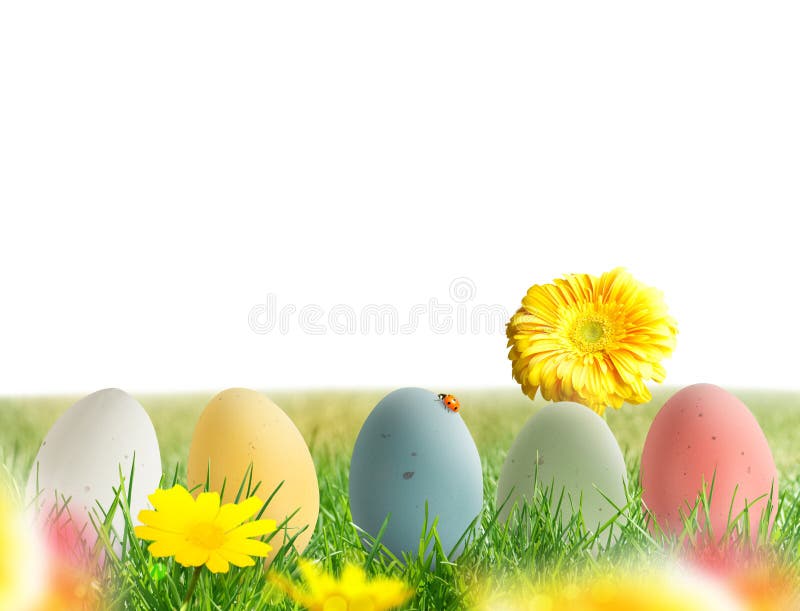 Easter Decorations with Colored Eggs on Meadow with Flowers Stock Image ...