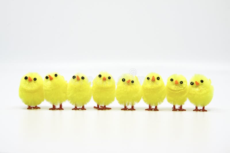 Cute Little Easter Chicks Standing in a Row Stock Image - Image of ...