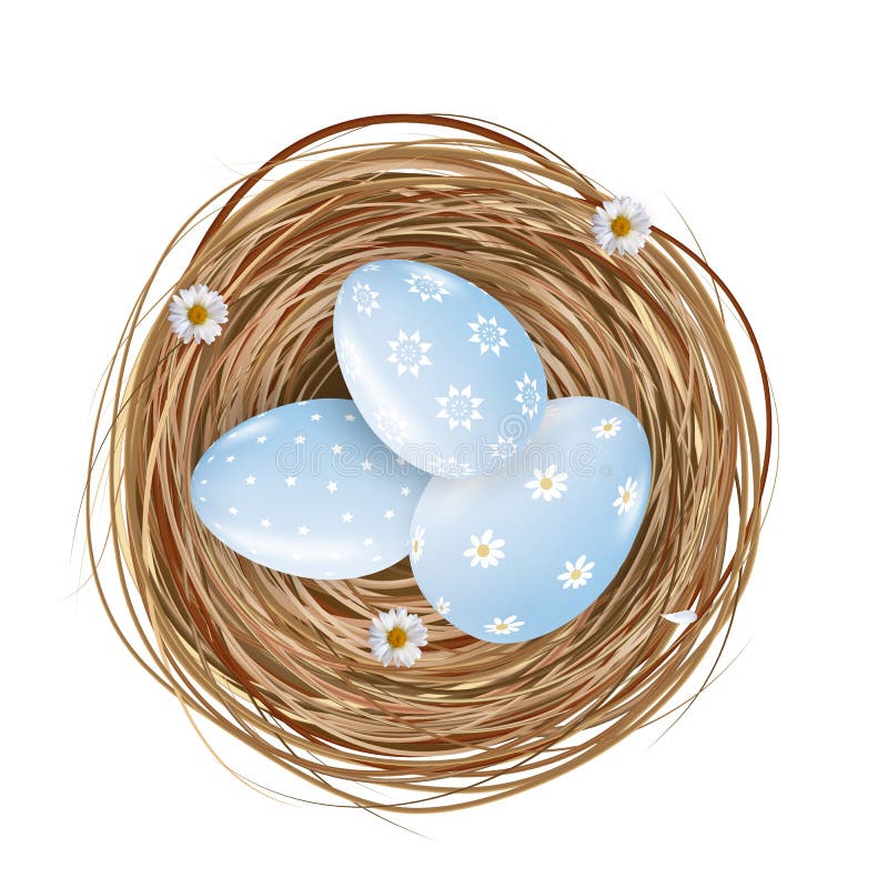 Easter Design Element Nest with Blue Colored Eggs. Vector Illustration ...