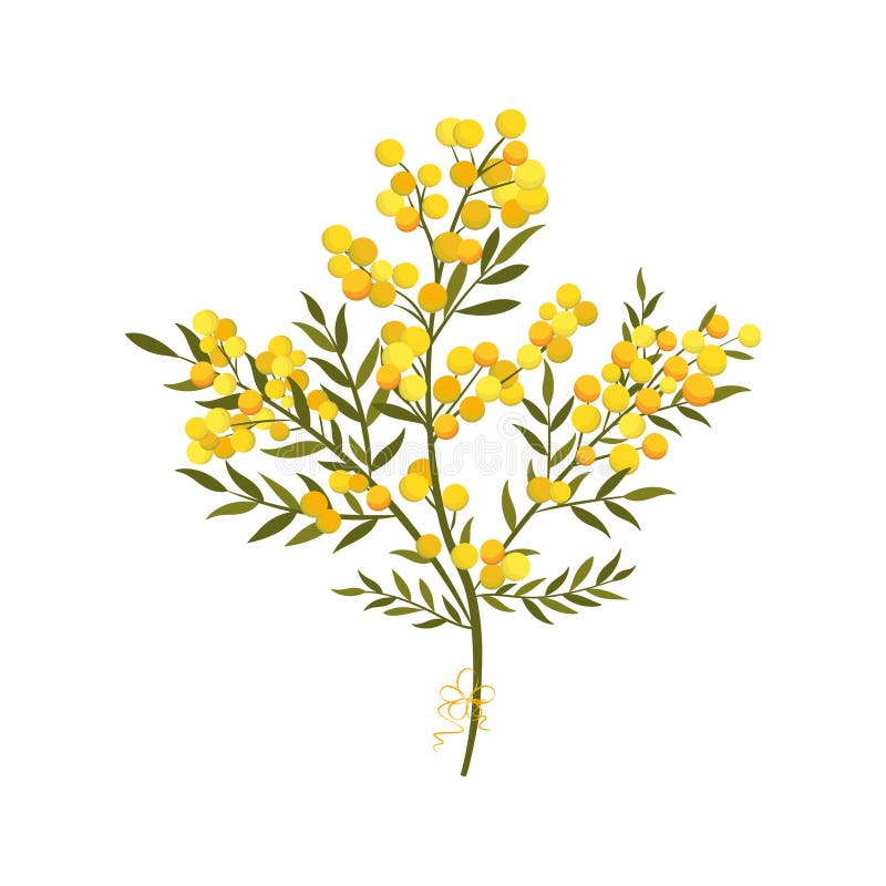 Easter Early Spring Flowers Bucket. Easter Colorful Flat Elements ...