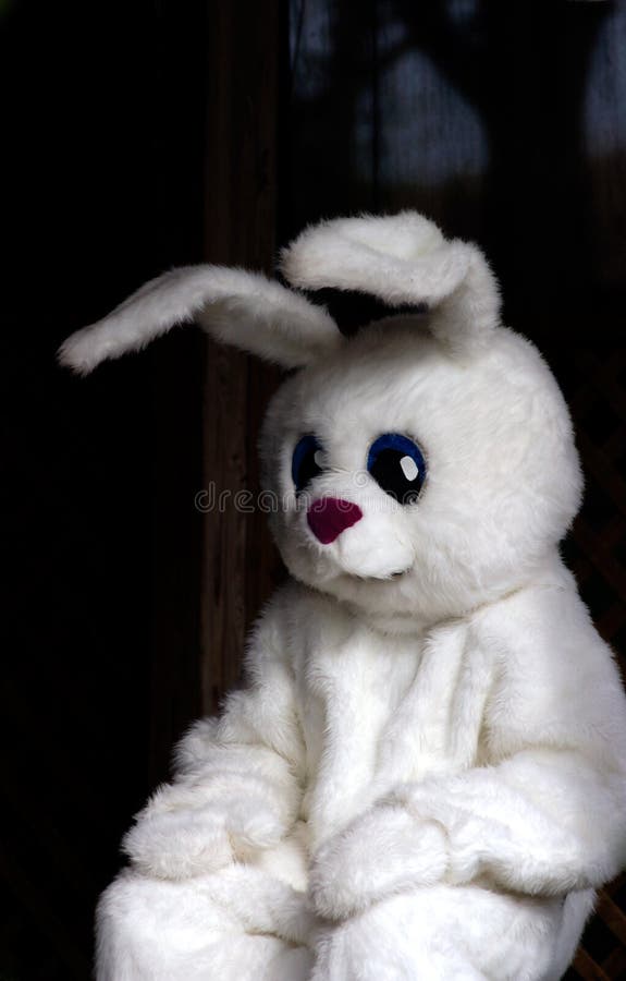 2,267 Sad Easter Bunny Stock Photos - Free & Royalty-Free Stock Photos ...