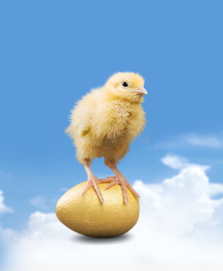 Easter stock image. Image of animal, single, flower - 118987231