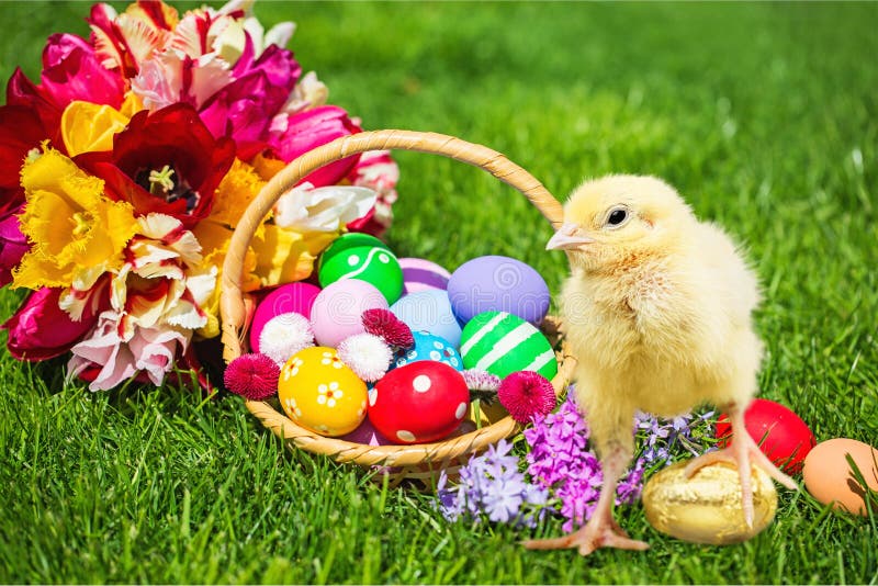 Easter stock photo. Image of culture, food, easter, single - 118987330