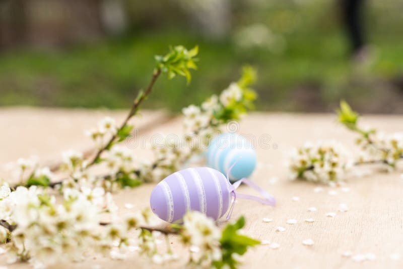A Easter Egg on a Branch of a Blooming Cherry Tree. Easter Spring ...