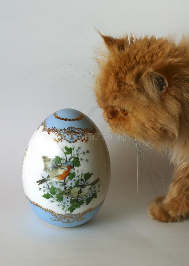 Easter egg and cat stock image. Image of color, gather - 599201