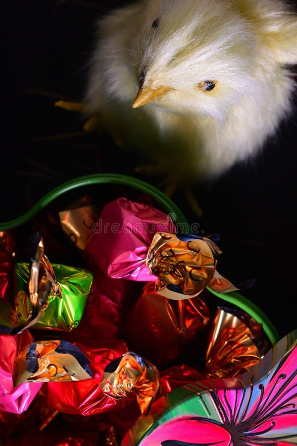 Easter Egg Chicken Chocolate Gift Box Stock Photo - Image of cheer ...