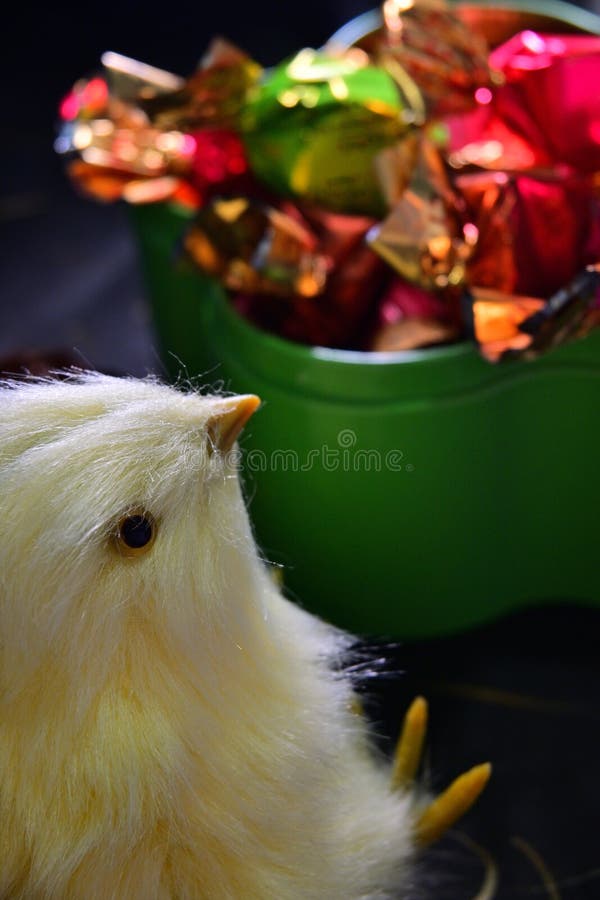 Candy Green Hair Spring Break Stock Photos - Free & Royalty-Free Stock ...