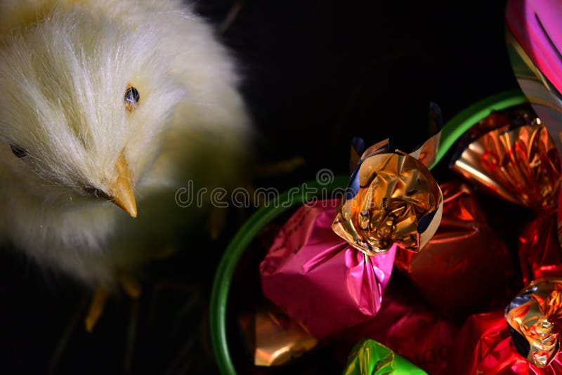 Candy Green Hair Spring Break Stock Photos - Free & Royalty-Free Stock ...