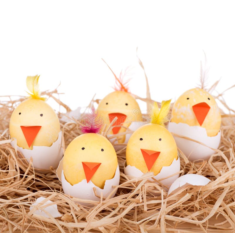 Two Easter Egg Chicks stock photo. Image of chicken, feather - 50553190
