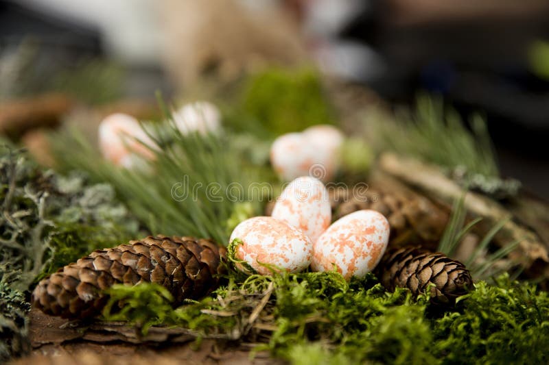 Easter Egg Composition with Natural Forest Attributes. Stock Image ...