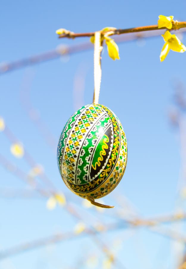 Easter Egg on Floral Branch Stock Photo - Image of gardening, nature ...
