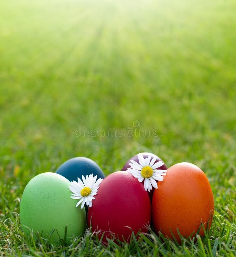 Easter Egg in the Fresh Spring Grass Stock Image - Image of religion ...