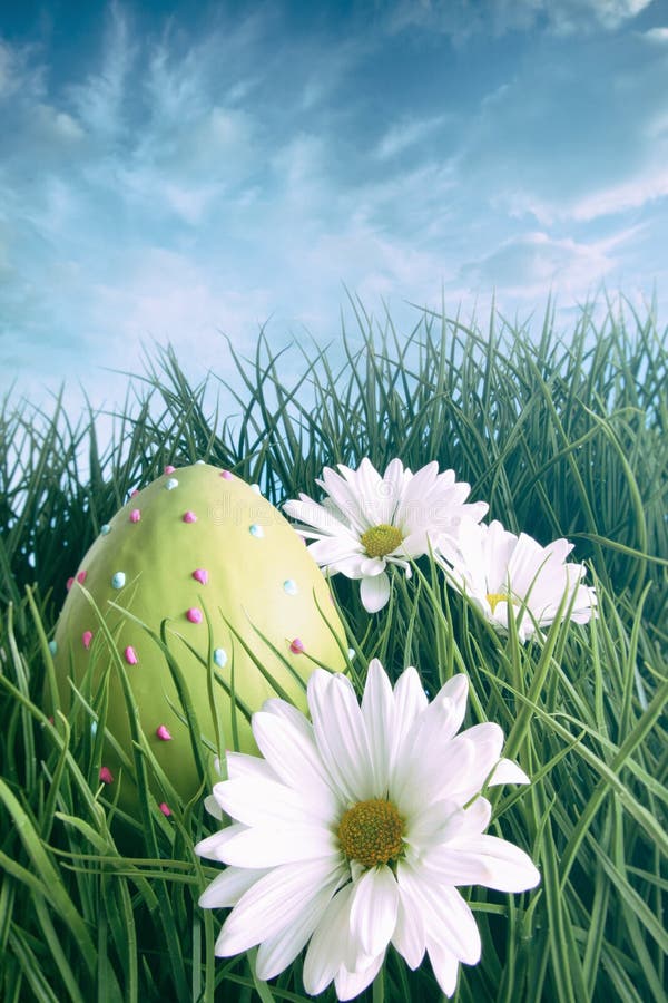 Colorful Easter Eggs in a Field of Grass Stock Photo - Image of motion ...