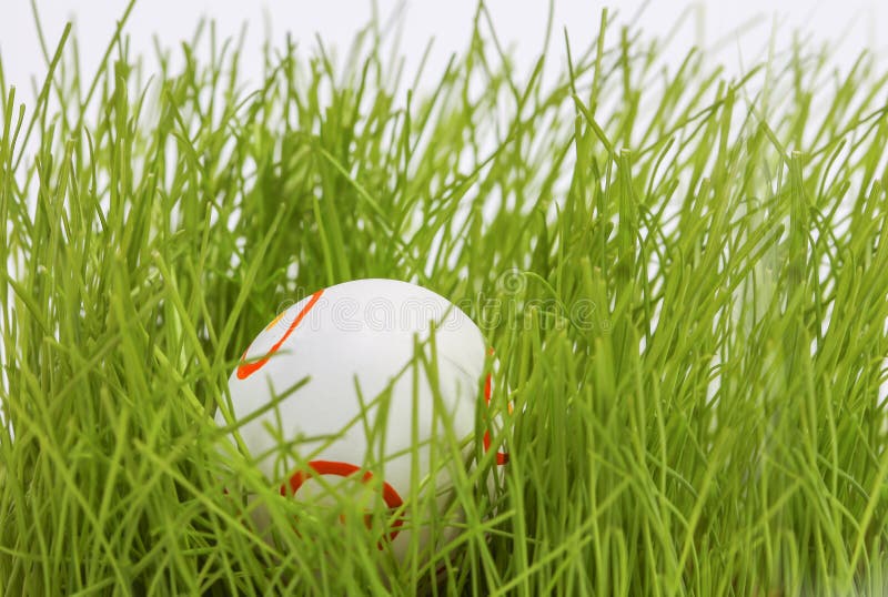 Easter egg in grass stock image. Image of border, isolated - 39105003
