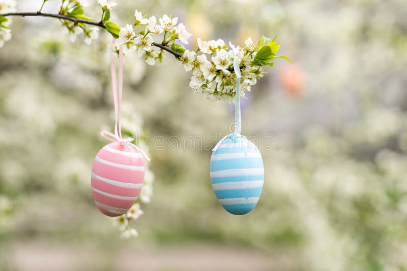 A Easter Egg is Hanging on a Branch of a Blooming Cherry Tree. Easter ...