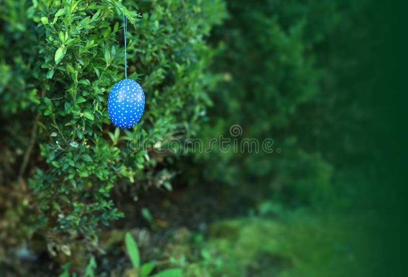 Easter Egg Hanging on a Bush in Green Environment Stock Photo - Image ...