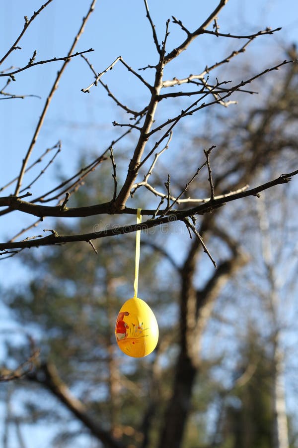 Easter egg stock photo. Image of outside, love, branches - 38780796