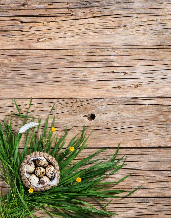 Easter Egg in Nest, Top View Stock Photo - Image of closeup, small ...