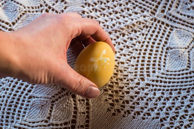 Natural egg colors stock image. Image of food, vegetable - 246001553