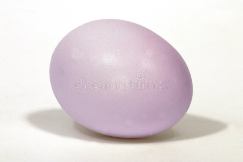 Easter Egg (pink) stock photo. Image of oval, embryo, white - 560910