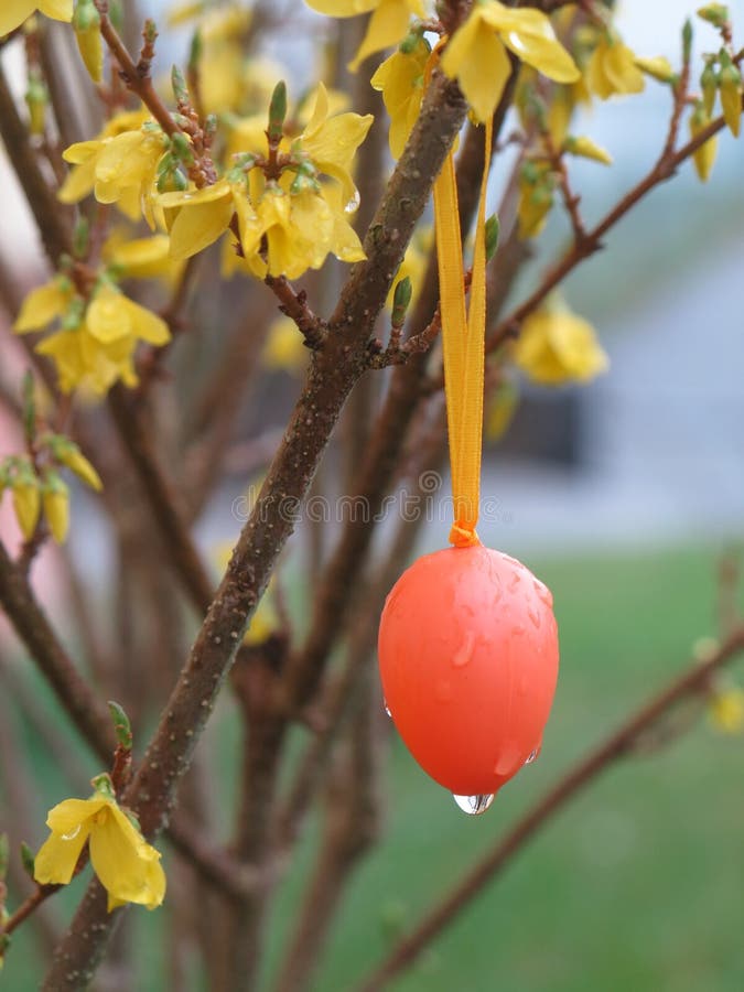 Easter egg rain stock image. Image of flower, event, raindrop - 29717689