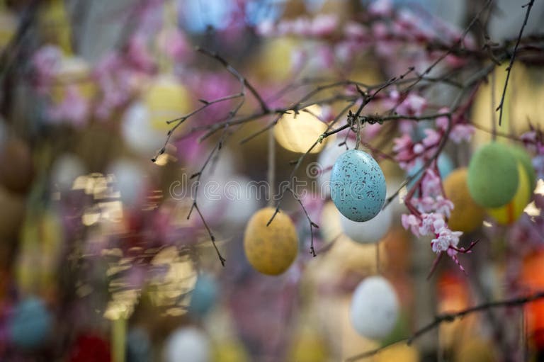 Easter egg tree stock image. Image of tradition, color - 52129991