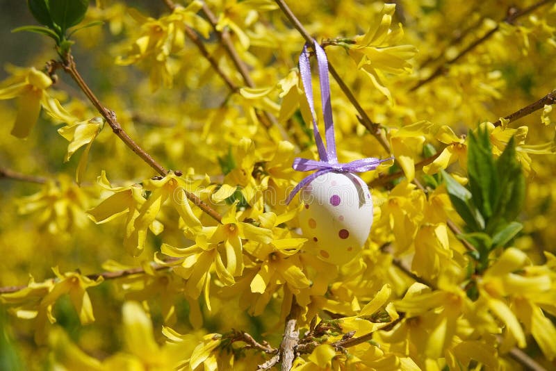Easter stock photo. Image of color, design, garden, form - 51539488