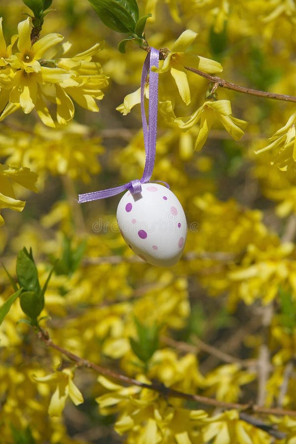 Easter stock photo. Image of color, garden, design, floral - 51539508