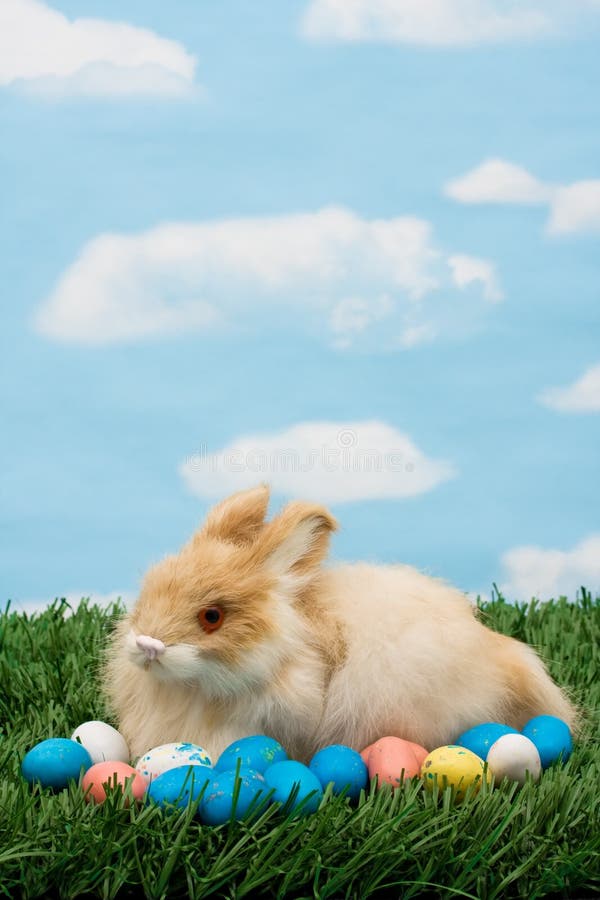 Easter Newfoundland Puppy stock photo. Image of grass - 51500422