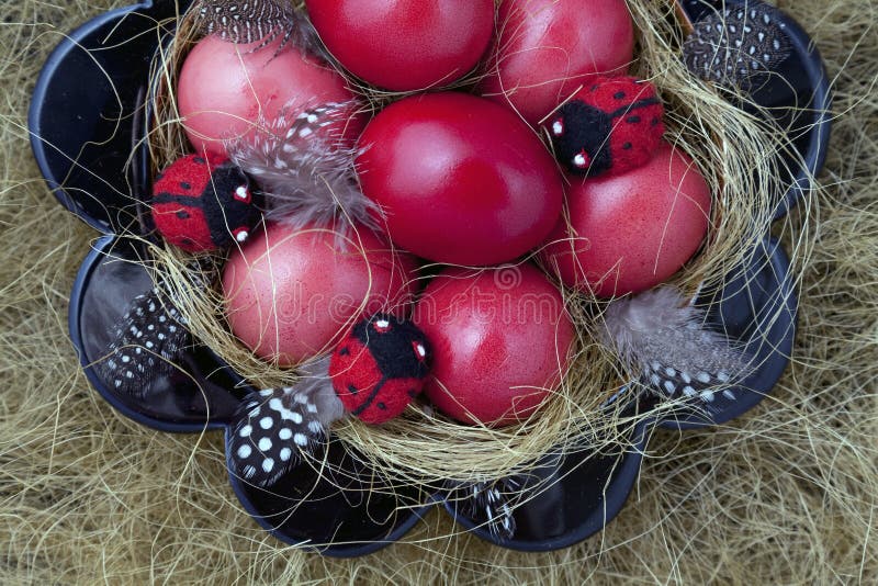 Easter Eggs stock photo. Image of easter, straw, ladybug - 12988368