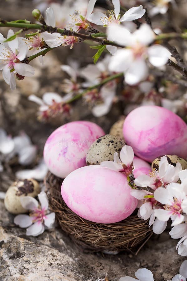 Easter eggs and blossom stock photo. Image of natural - 110156852
