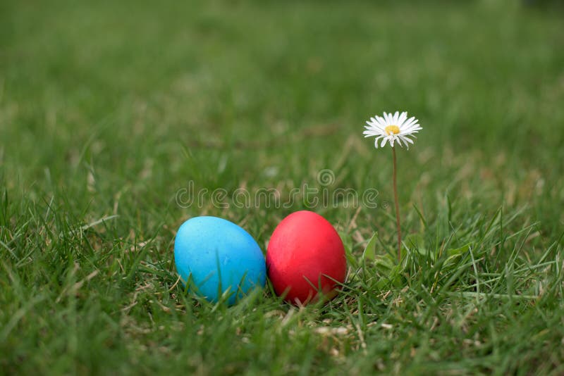 Easter eggs stock photo. Image of april, horizontal, floral - 90316582