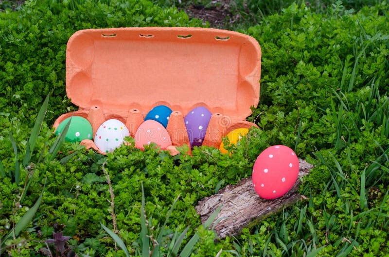 Easter Eggs in a Box on Green Grass. Happy Easter Stock Image - Image ...