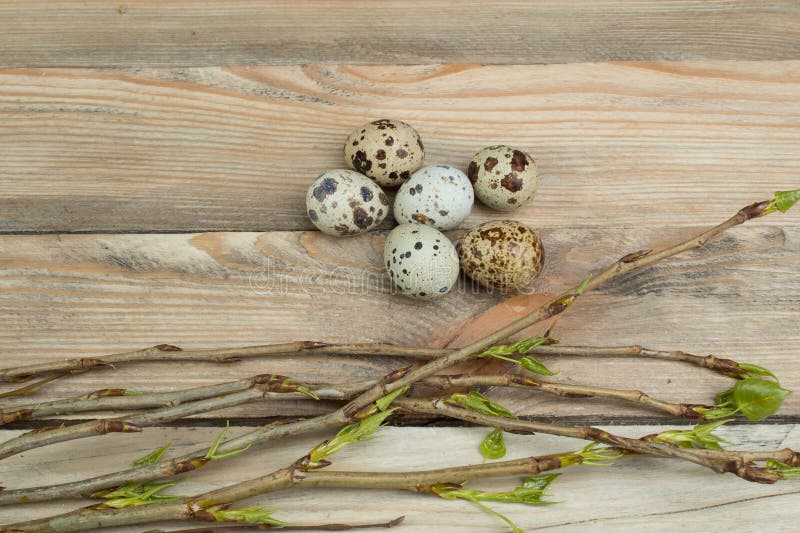 Easter Eggs and Branch with Leaves on Wooden Table Background. Top View ...