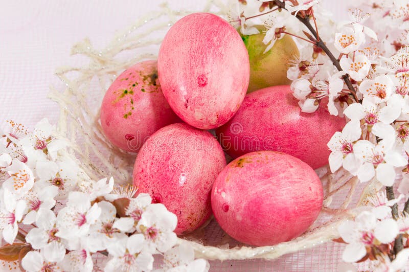 Easter Eggs and Cherry Blossom Flowers Stock Image - Image of bunch ...