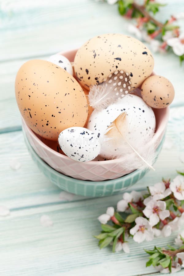 Easter Eggs and Cherry Blossom Stock Image - Image of card, cherry ...