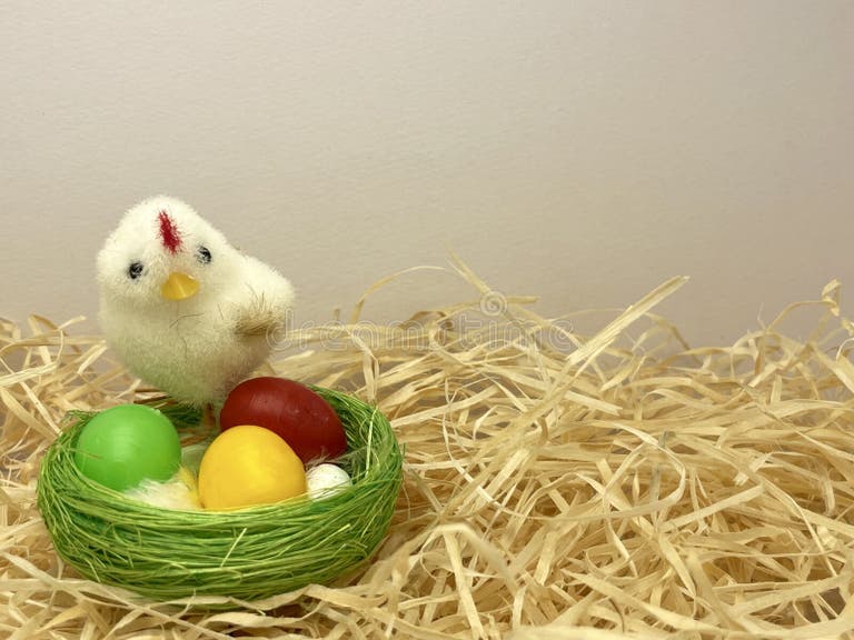 Easter Eggs Chick Place for Signature Stock Image - Image of dish ...