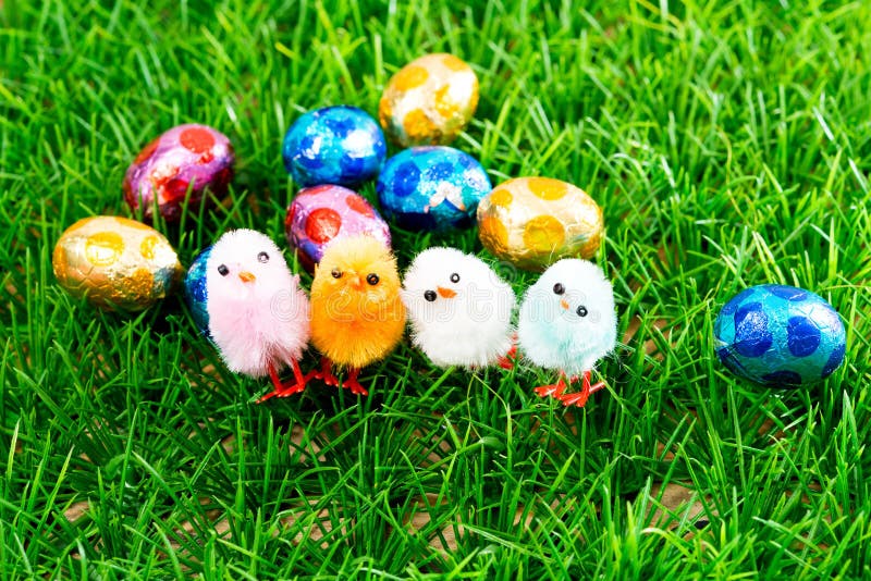 Easter eggs and chickens stock photo. Image of easter - 29227602