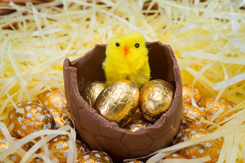 Easter Eggs and Chicks stock image. Image of space, holidays - 39484195