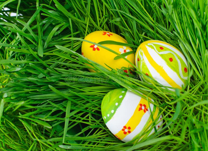 Easter Eggs are Colored in Green Grass Stock Image - Image of bright ...